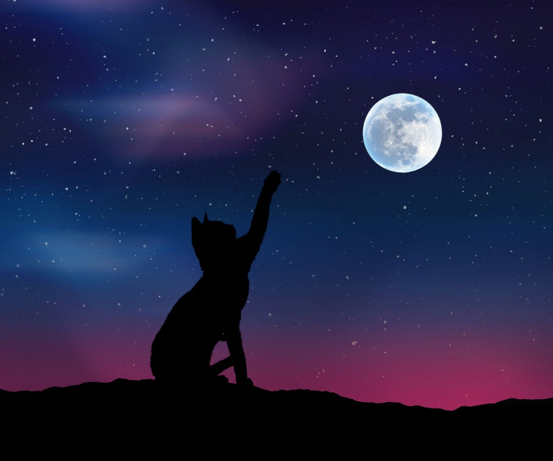 Touch the Moon Full Coverage Cross Stitch Pattern PDF - Etsy