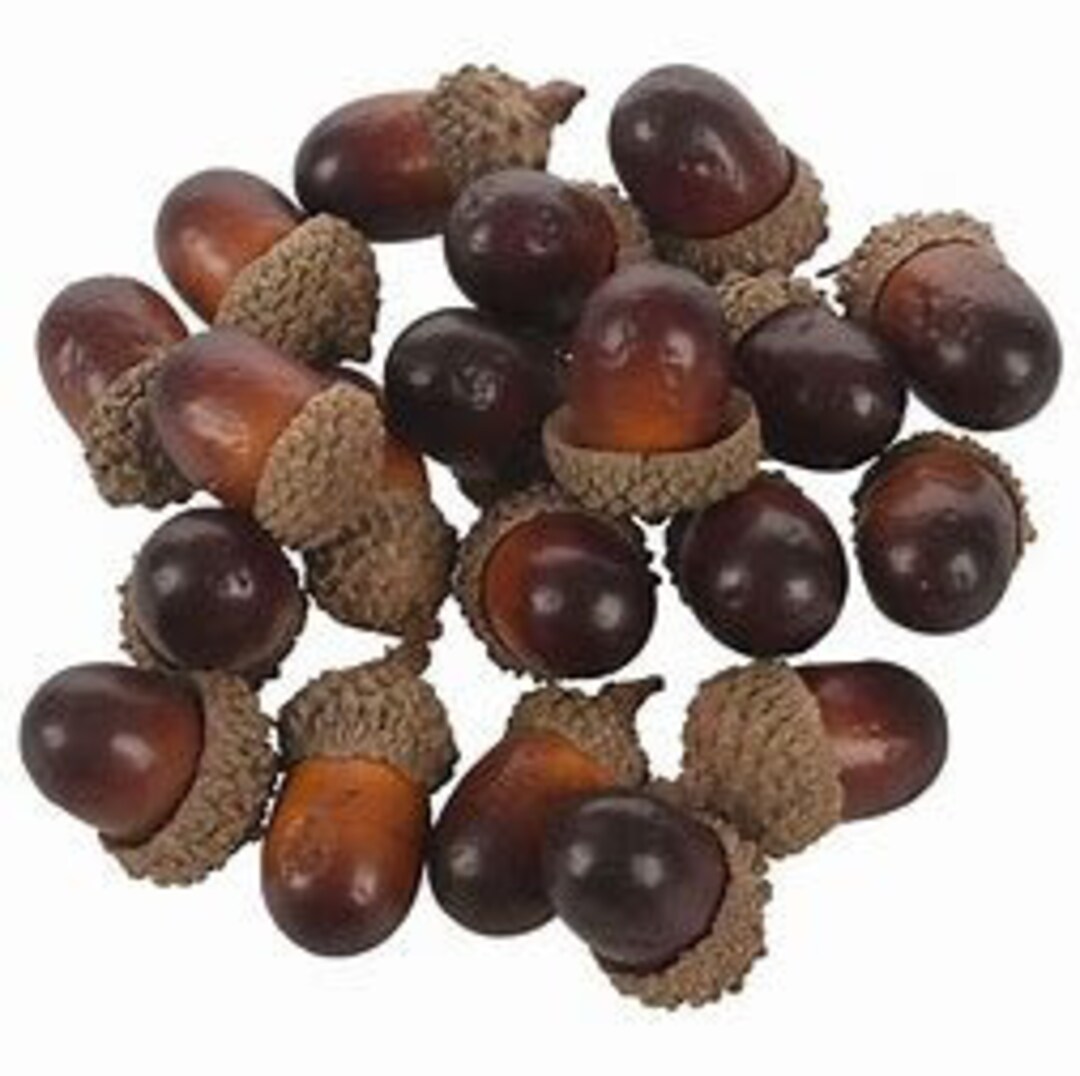 30 Artificial Acorns for Tank / Vivarium Decoration . Artificial Acorns ...