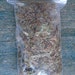 Giant African Land Snail Refresher Kit. Coir Substrate With Added ...