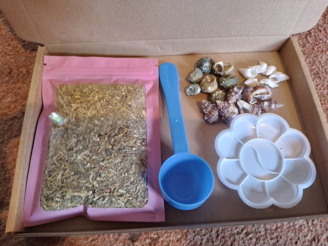Hermit Crab Package . Spoon, Hermit Crab Food. Feeding Bowl, 20 Shells ...