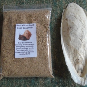 Giant African Land Snail Refresher Kit. Coir Substrate With Added ...