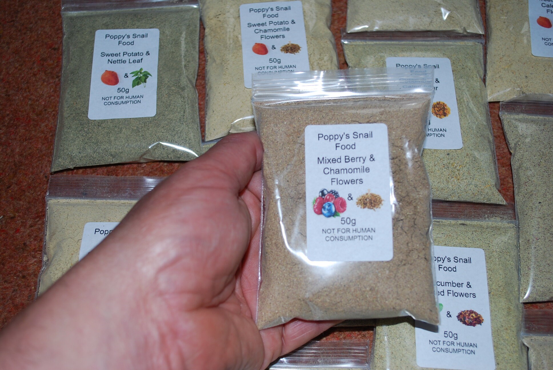 Giant African Land Snail Food Snail Mix 50g Sample Pack - Etsy