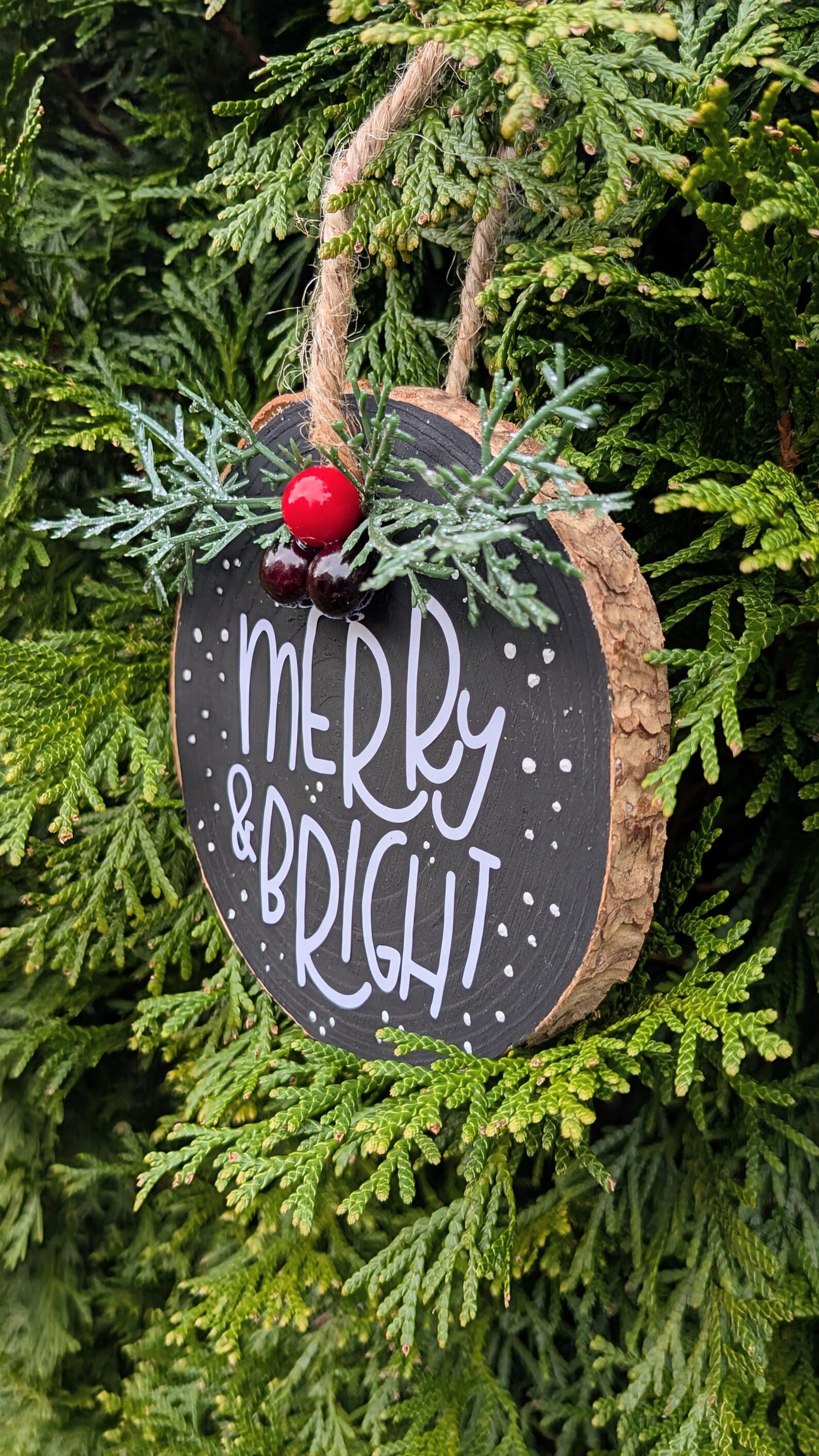 Merry and Bright/comfort and Joy Wood Slice Ornament - Etsy