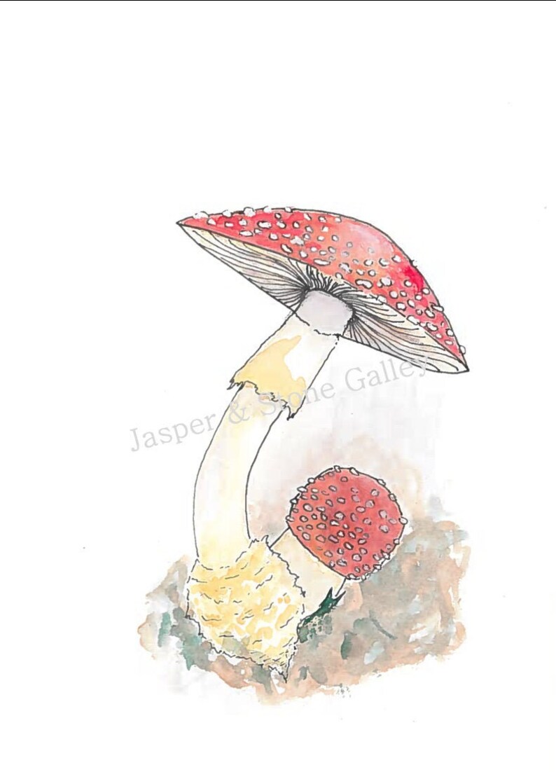 Amanita Muscaria Mushroom Watercolor And Line Work Print Etsy