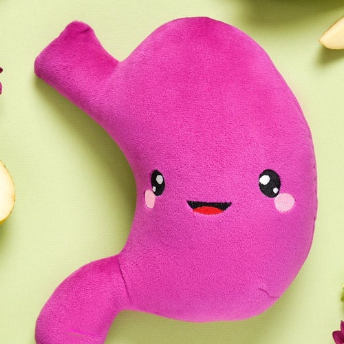 Nerdbugs Gallbladder Plush Organ Toys Gallbladder Surgery | Etsy