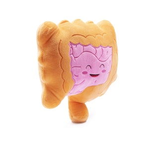 Nerdbugs Intestine Plush-colon Cancer Gift, IBS Warrior, Ulcerative ...