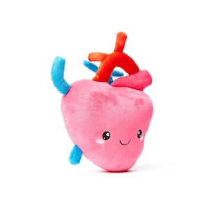 Nerdbugs Heart Plush Organ- Cardiology Gifts, Open Heart Surgery Gift ...