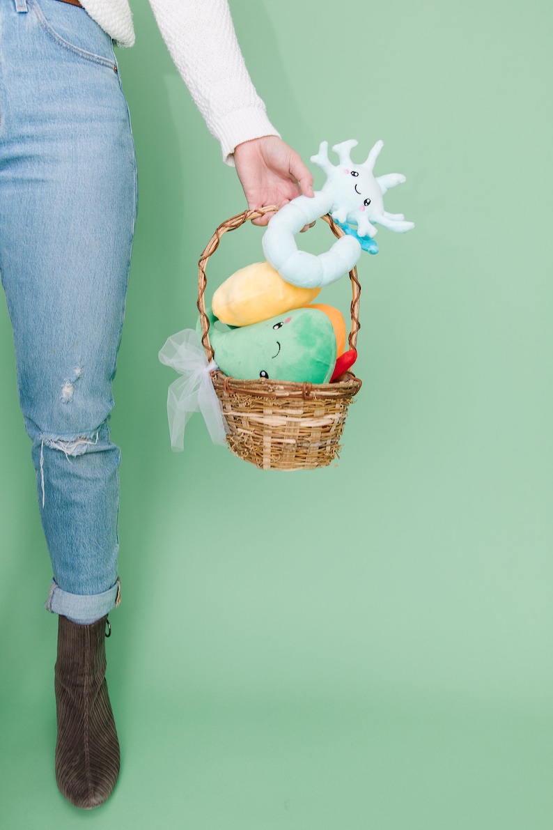 Nerdbugs Neuron brain Cell Plush Organ Neurology Gift | Etsy