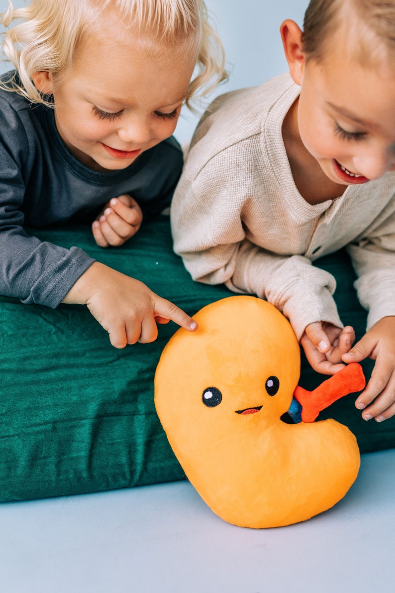 Nerdbugs Kidney Plushie Organ Kidney Transplant Gift Kidney - Etsy