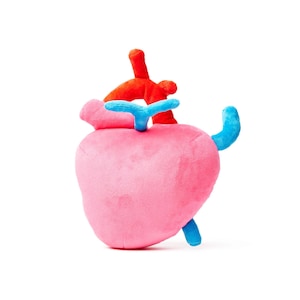 Nerdbugs Heart Plush Organ- Cardiology Gifts, Open Heart Surgery Gift ...