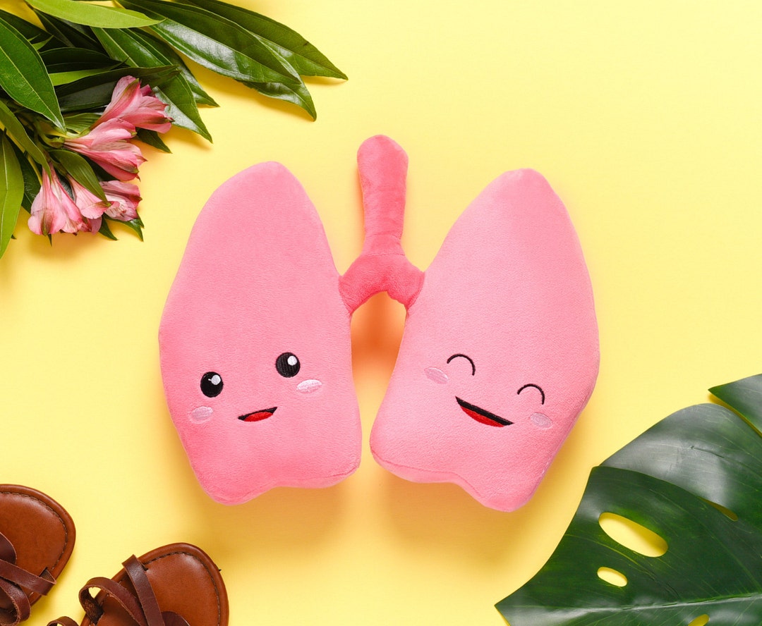 Nerdbugs Anatomical Lung Plushie -pulmonologist Gift, Respiratory ...