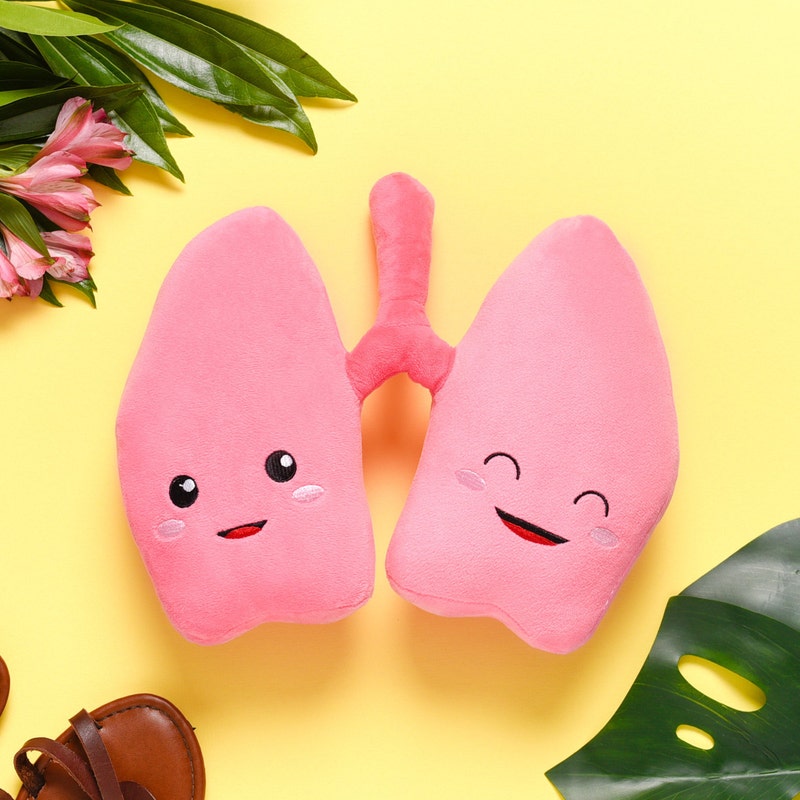 Kidney Cancer in the Lungs and Brain Serious - Etsy Canada