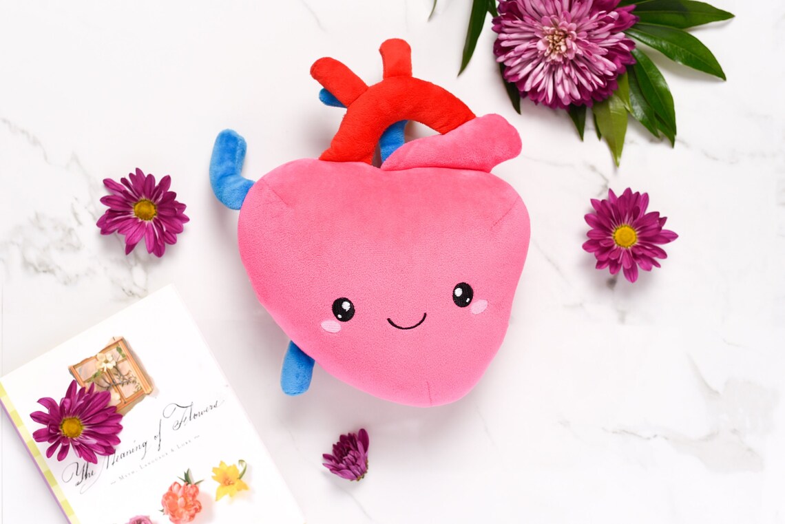 Nerdbugs Heart Plush Organ Cardiology Gifts Open Heart - Etsy