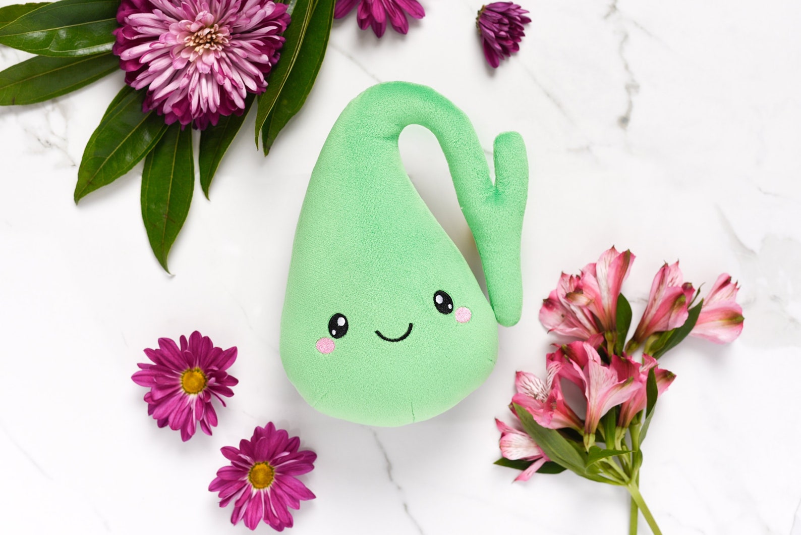 Nerdbugs Gallbladder Plush Organ Toys Gallbladder Surgery | Etsy