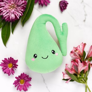 Nerdbugs Gallbladder Plush Organ Toys- Gallbladder Surgery Gift ...