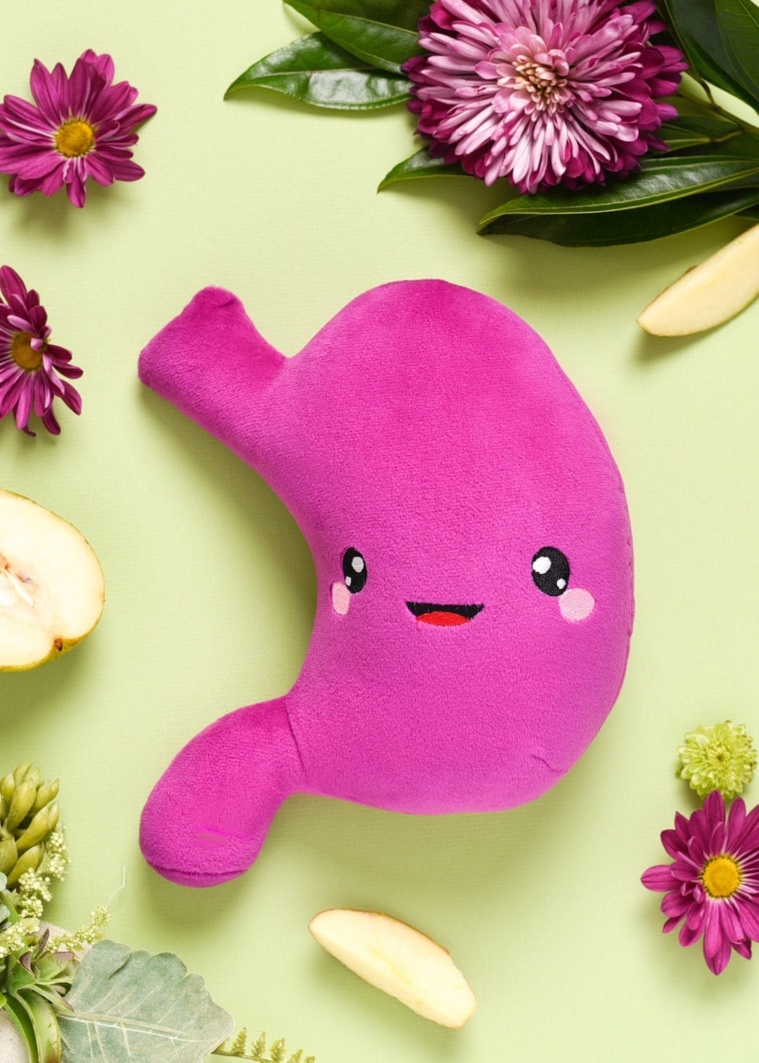 Nerdbugs Stomach Plush Organ-bariatric Surgery, Gastric Bypass, Gastric ...