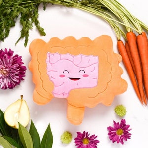 Nerdbugs Intestine Plush-colon Cancer Gift, IBS Warrior, Ulcerative ...
