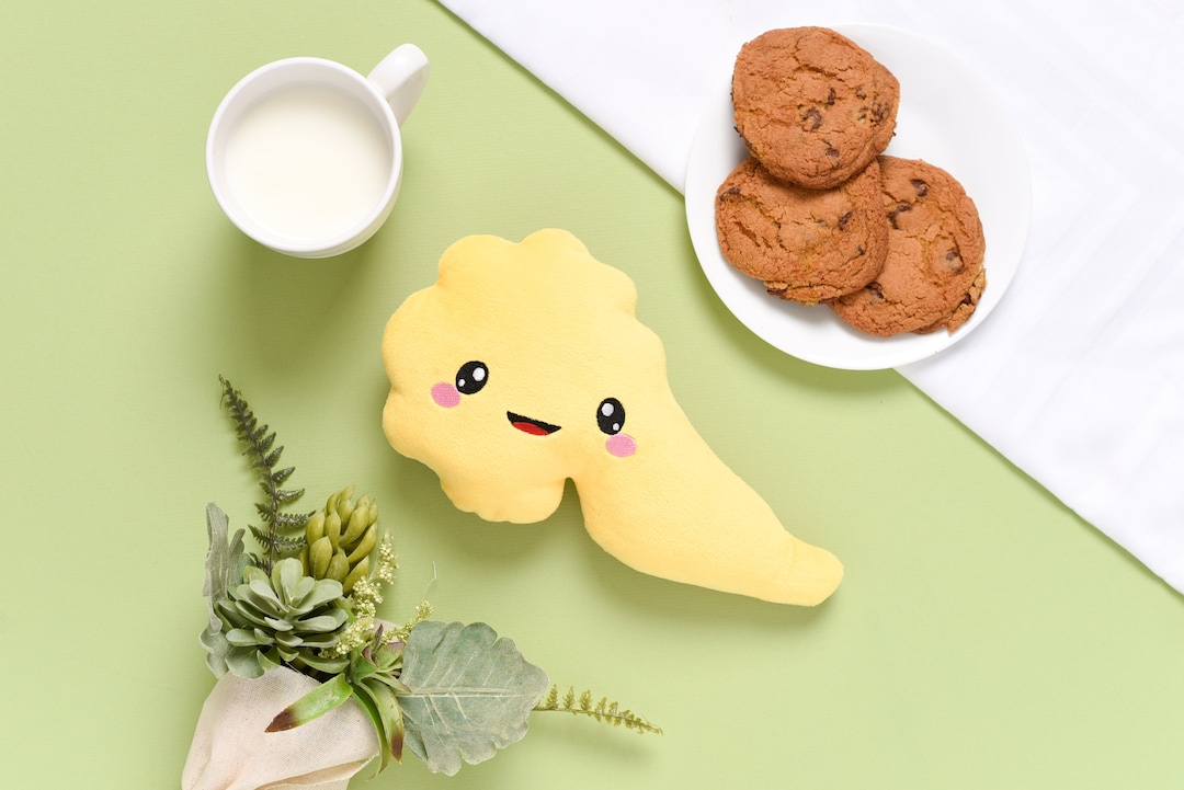 Nerdbugs Pancreas Plush -diabetes Gift, Pancreatitis Gift, Diabetic Get ...