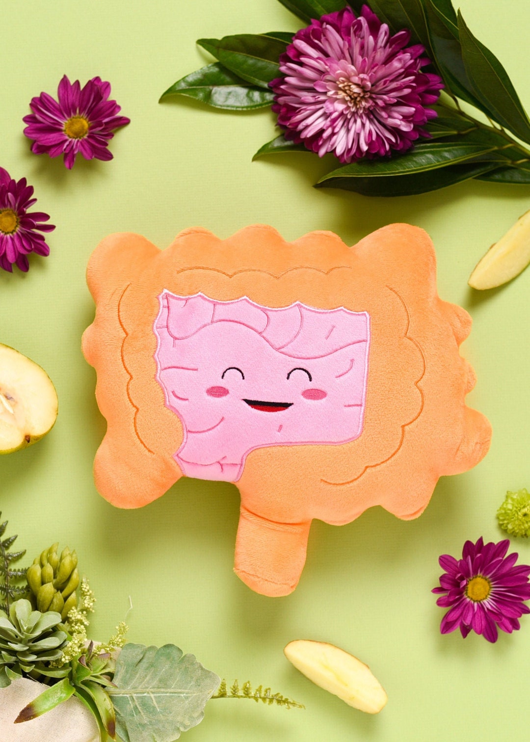 Nerdbugs Intestine Plush-colon Cancer Gift, IBS Warrior, Ulcerative ...