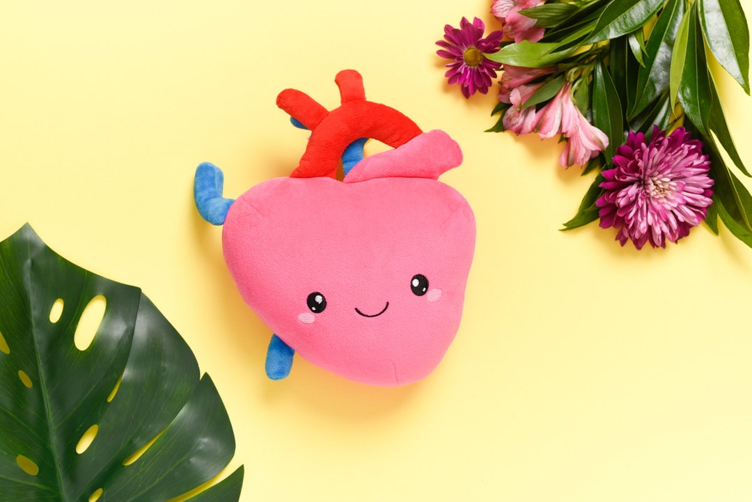 Nerdbugs Heart Plush Organ- Cardiology Gifts, Open Heart Surgery Gift ...