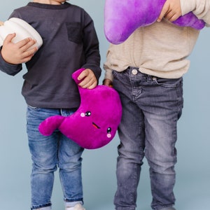 Nerdbugs Stomach Plush Organ-bariatric Surgery, Gastric Bypass, Gastric ...