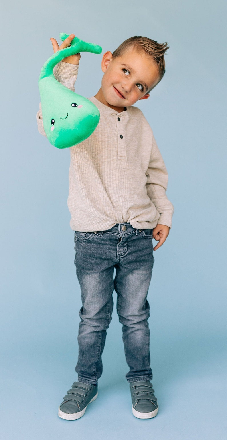 Nerdbugs Gallbladder Plush Organ Toys- Gallbladder Surgery Gift ...