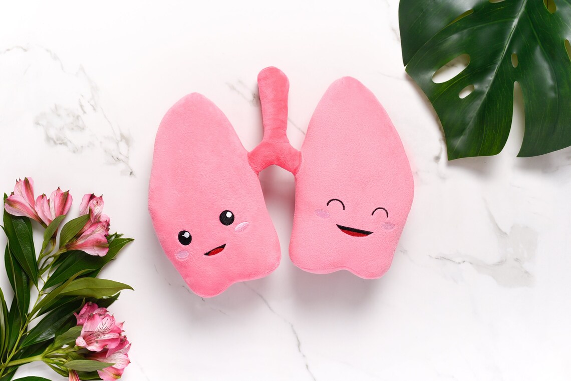 Nerdbugs Anatomical Lung Plushie -pulmonologist Gift, Respiratory ...
