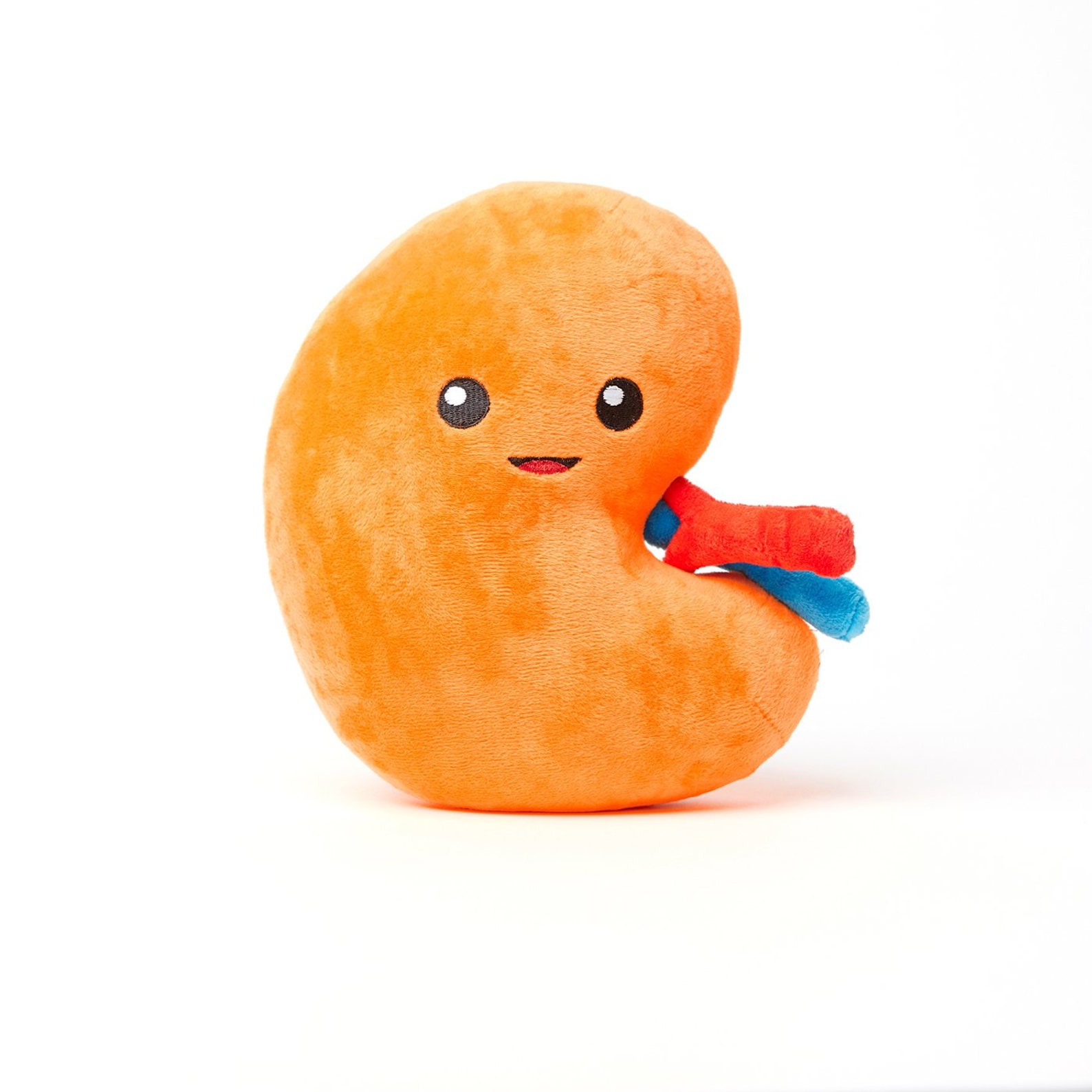 Nerdbugs Kidney Plushie Organ- Kidney Transplant Gift, Kidney Donor ...
