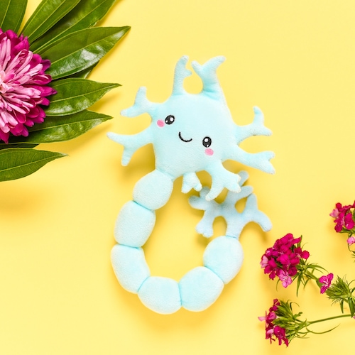 Nerdbugs Neuron brain Cell Plush Organ Neurology Gift - Etsy