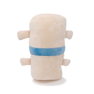 Nerdbugs Spine Plush Organ-spine Surgery Gift, Spine Surgeon Gift ...