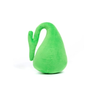 Nerdbugs Gallbladder Plush Organ Toys- Gallbladder Surgery Gift ...