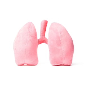 Nerdbugs Anatomical Lung Plushie -pulmonologist Gift, Respiratory ...