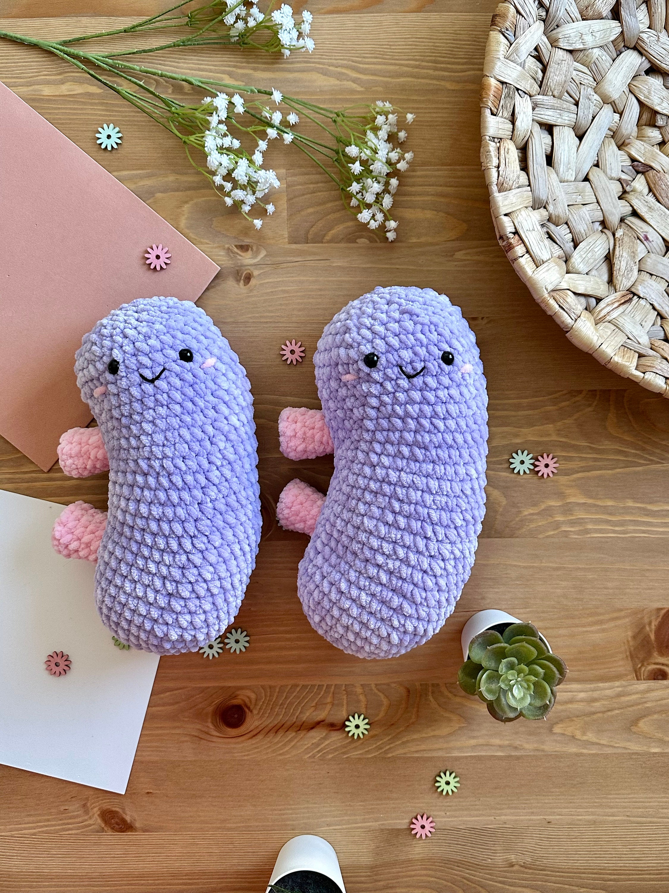 Crochet Cute Kidney Plushie - Kidneydisease - Kidneytransplant - Gift ...