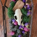 Sherman's Final Nap. Guinea Oug Skull Displyed on Moss With Dried ...