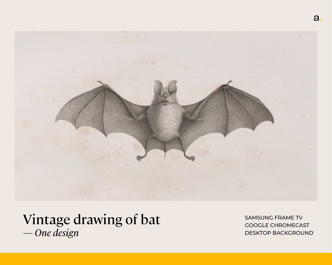 Vintage Bat Drawing as a Digital Print for Vintage Halloween Digital ...