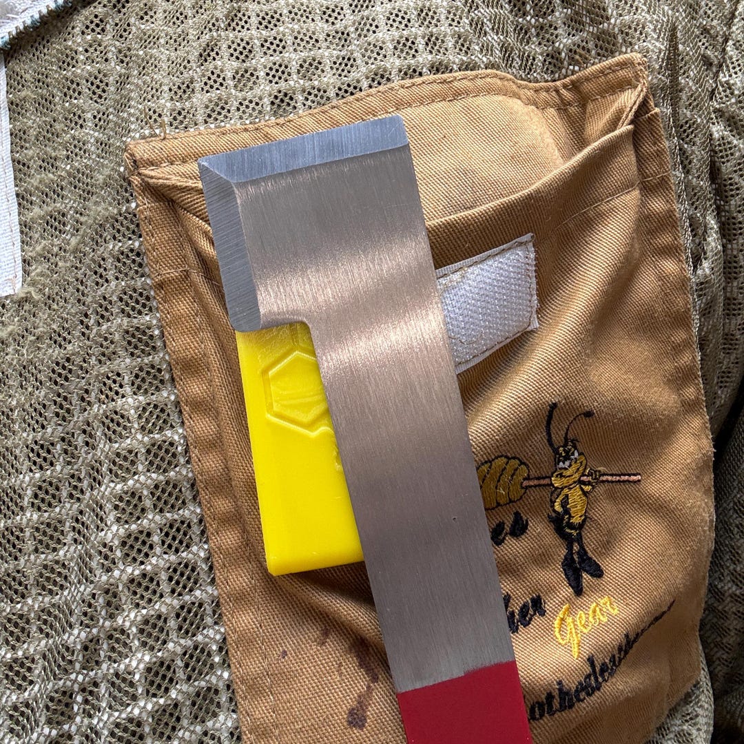 Buzz Strong: Extra-strong Magnetic Hive Tool Holder for Beekeepers ...