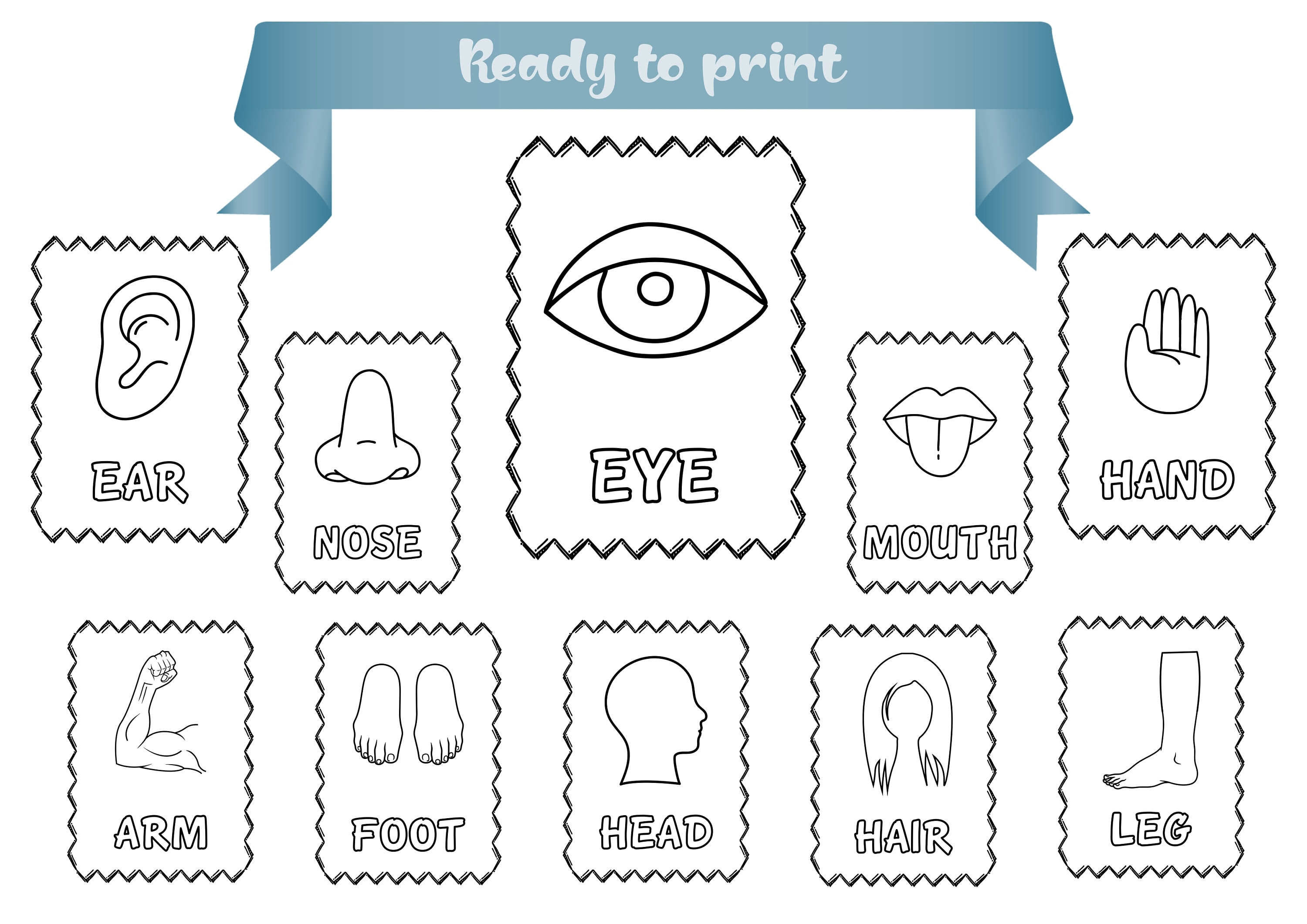 Body Parts Coloring Pages For Preschool [2025]