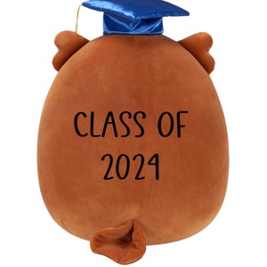 Custom Graduation Squishmallows • Personalized Gift • Class of 2025 ...