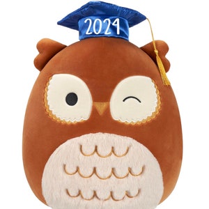 Custom Graduation Squishmallows • Personalized Gift • Class of 2025 ...