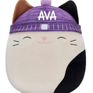 Custom Cat Squishmallows • Custom Plush Cats • Custom Squishmallows ...