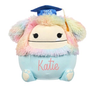 Custom Graduation Squishmallows • Personalized Gift • Class of 2025 ...