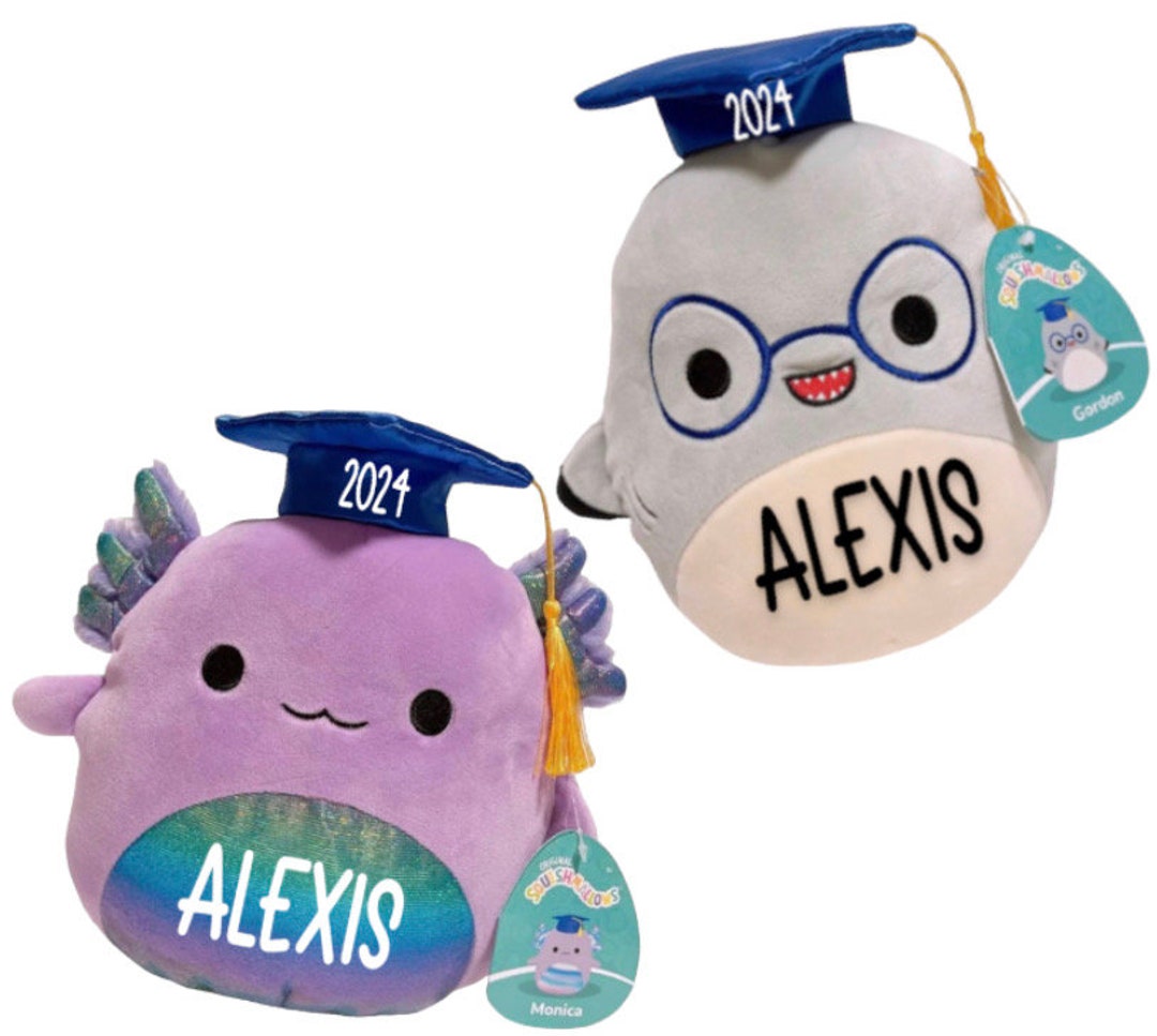 Custom Graduation Squishmallows • Personalized Gift • Custom Plush ...