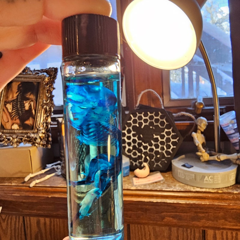 Diaphonization - Etsy