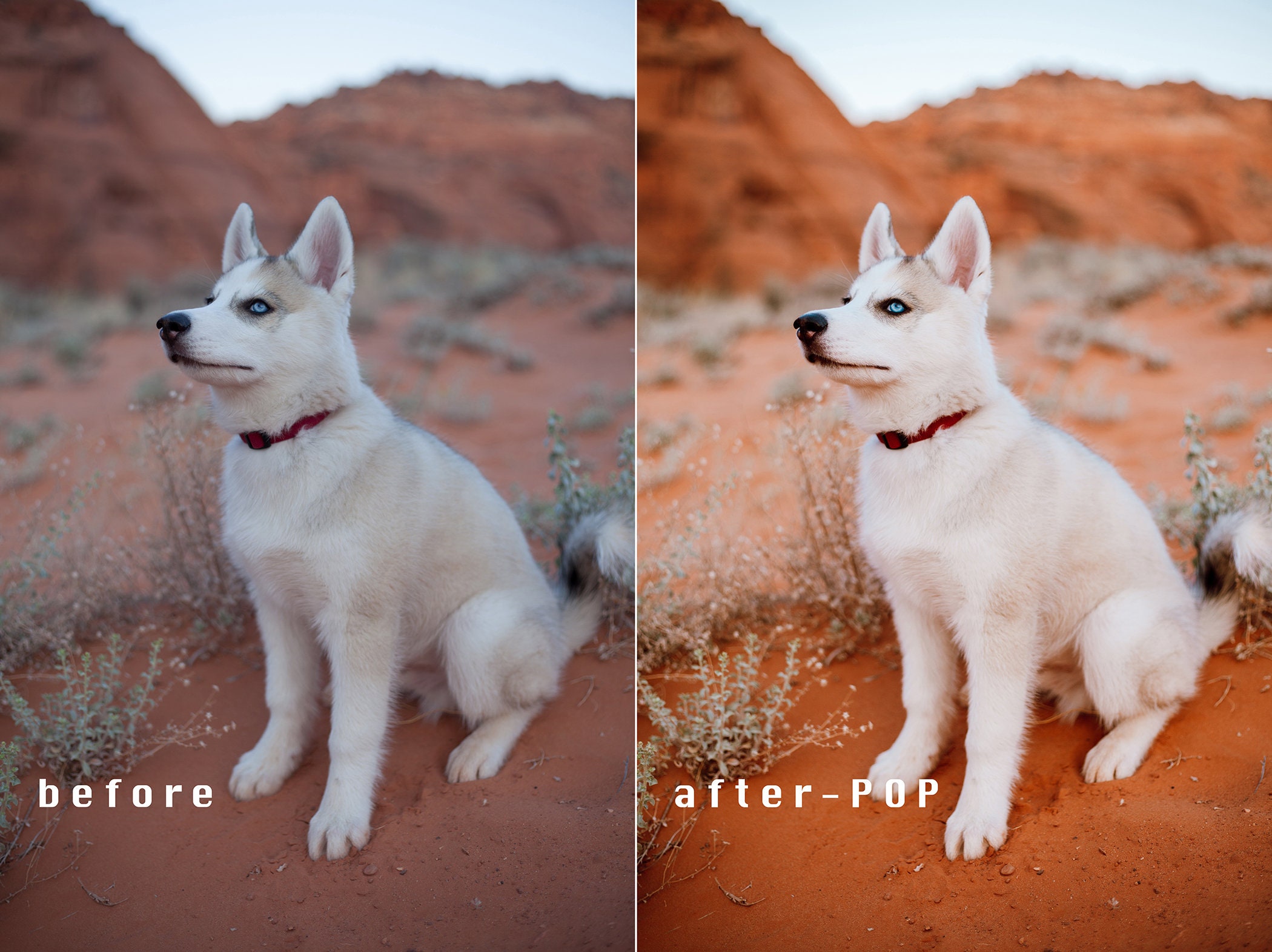 Buck's Mobile Preset Pack - Etsy