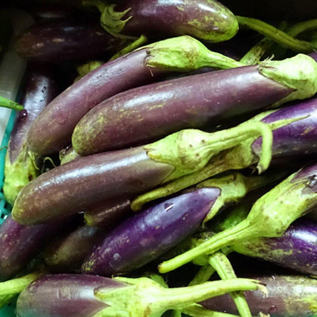 25seeds.purple Monkey Eggplant,thai Purple Finger Eggplant,purple Monkey Finger Eggplant ...