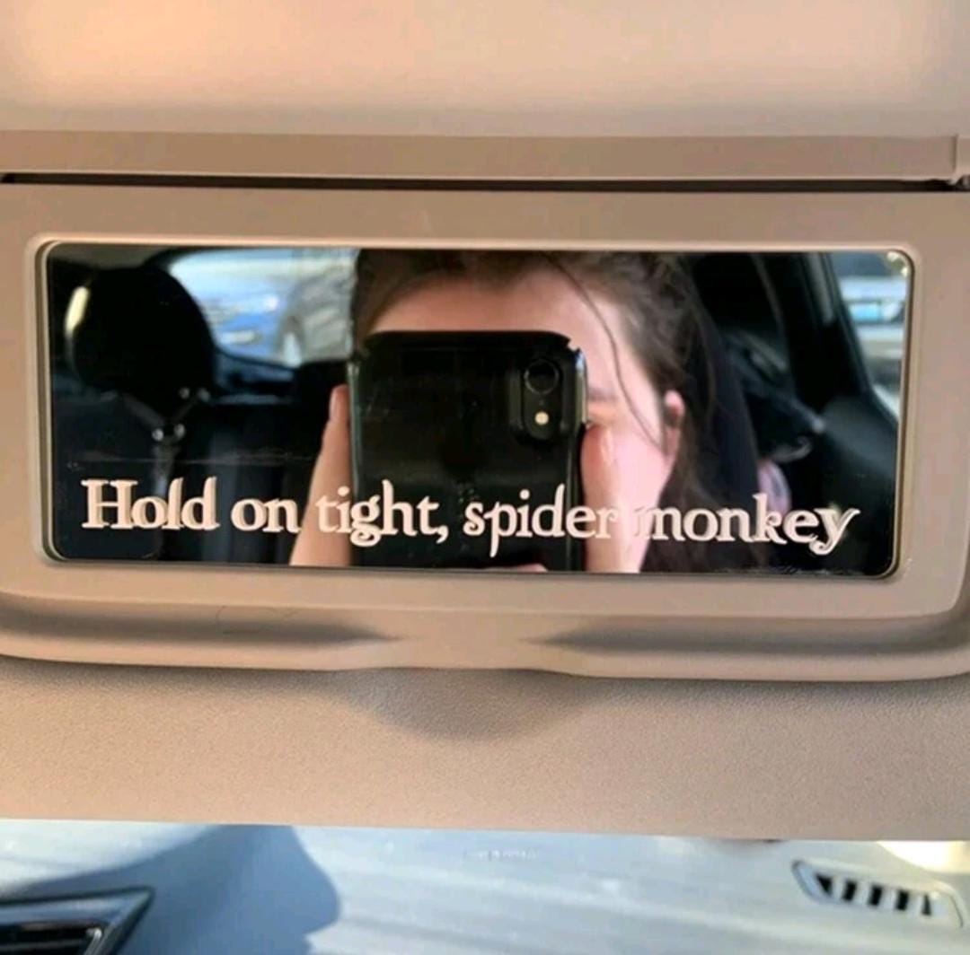 Hold on Tight Spidermonkey Twilight Mirror Decal | Vinyl Decal Sticker ...
