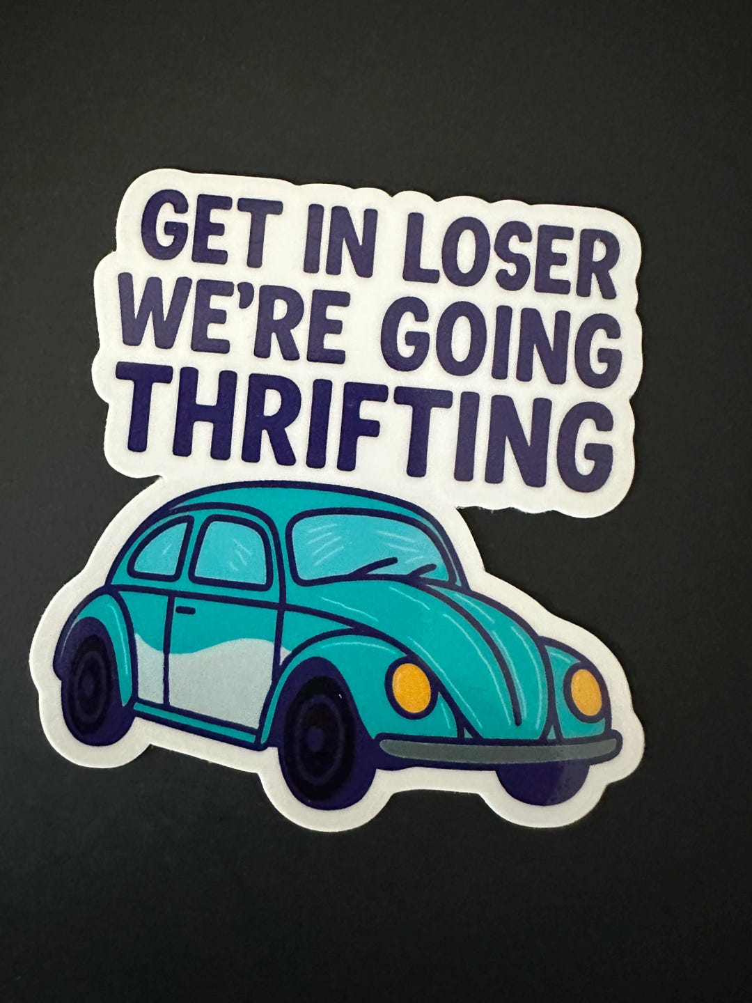 Get in Loser - Thrifting Sticker - Etsy