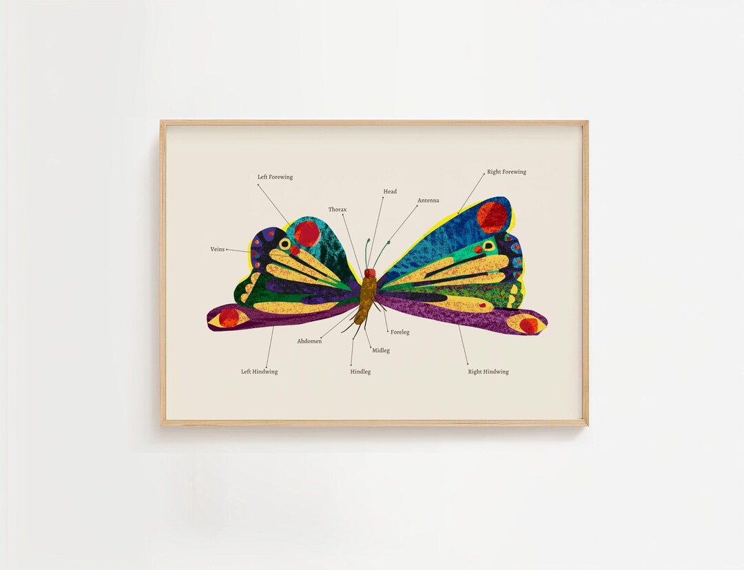 Hungry Bug Anatomy - the Very Hungry Caterpillar Inspired Printable ...