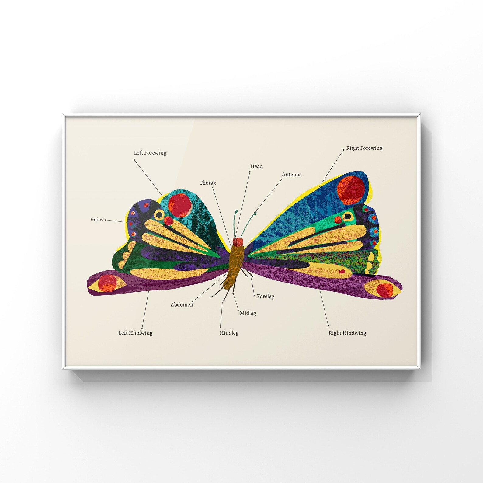 Hungry Bug Anatomy the Very Hungry Caterpillar Inspired - Etsy