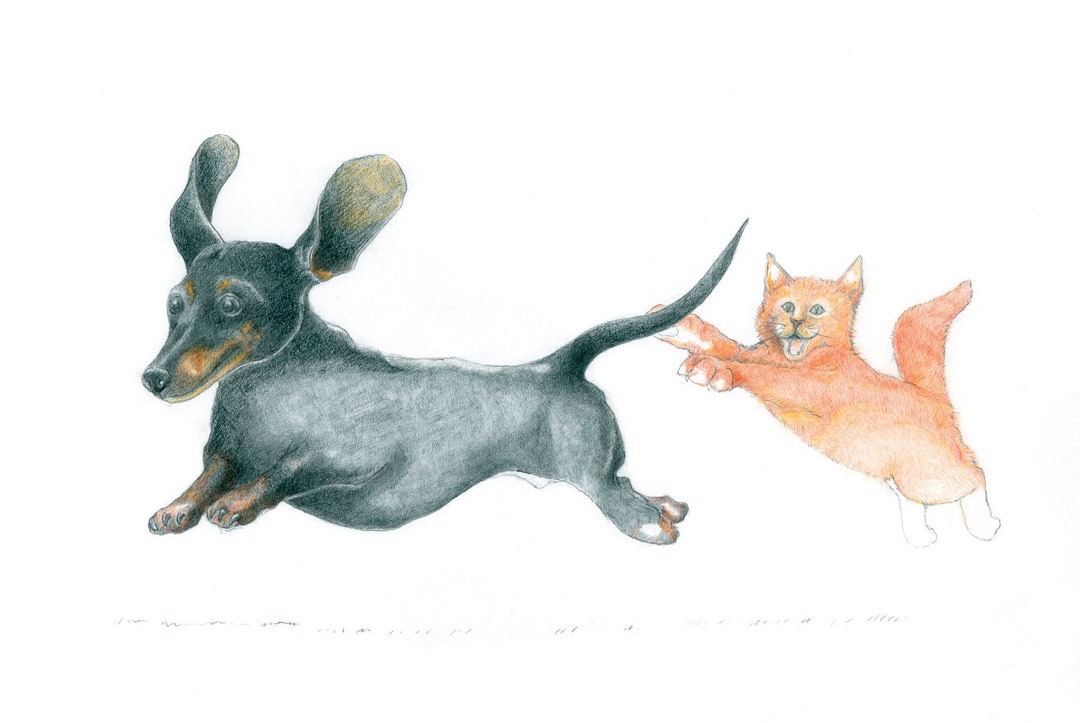 CAT CHASING DACHSHUND - Etsy